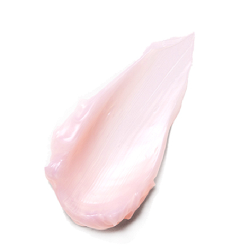 Celonia Signature Bio Cream - wholesale | Find Korean Lifting & Anti ...