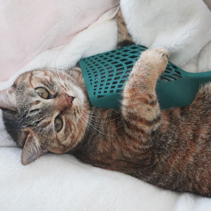 Cat Litter Scoop_Spider Scoop_Green - wholesale | Find Korean Others ...